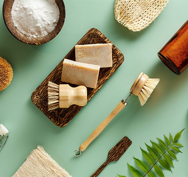 Ménage à domicile - MOINEAU BLANC SERVICES